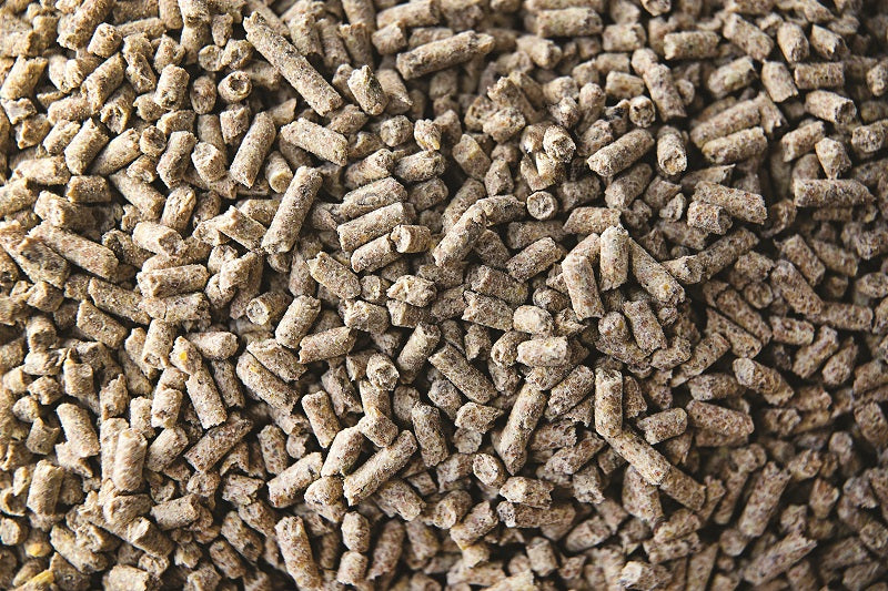 BUCKEYE™ Nutrition Growth Pelleted - Howell, MI - Pet X Supplies & Tack